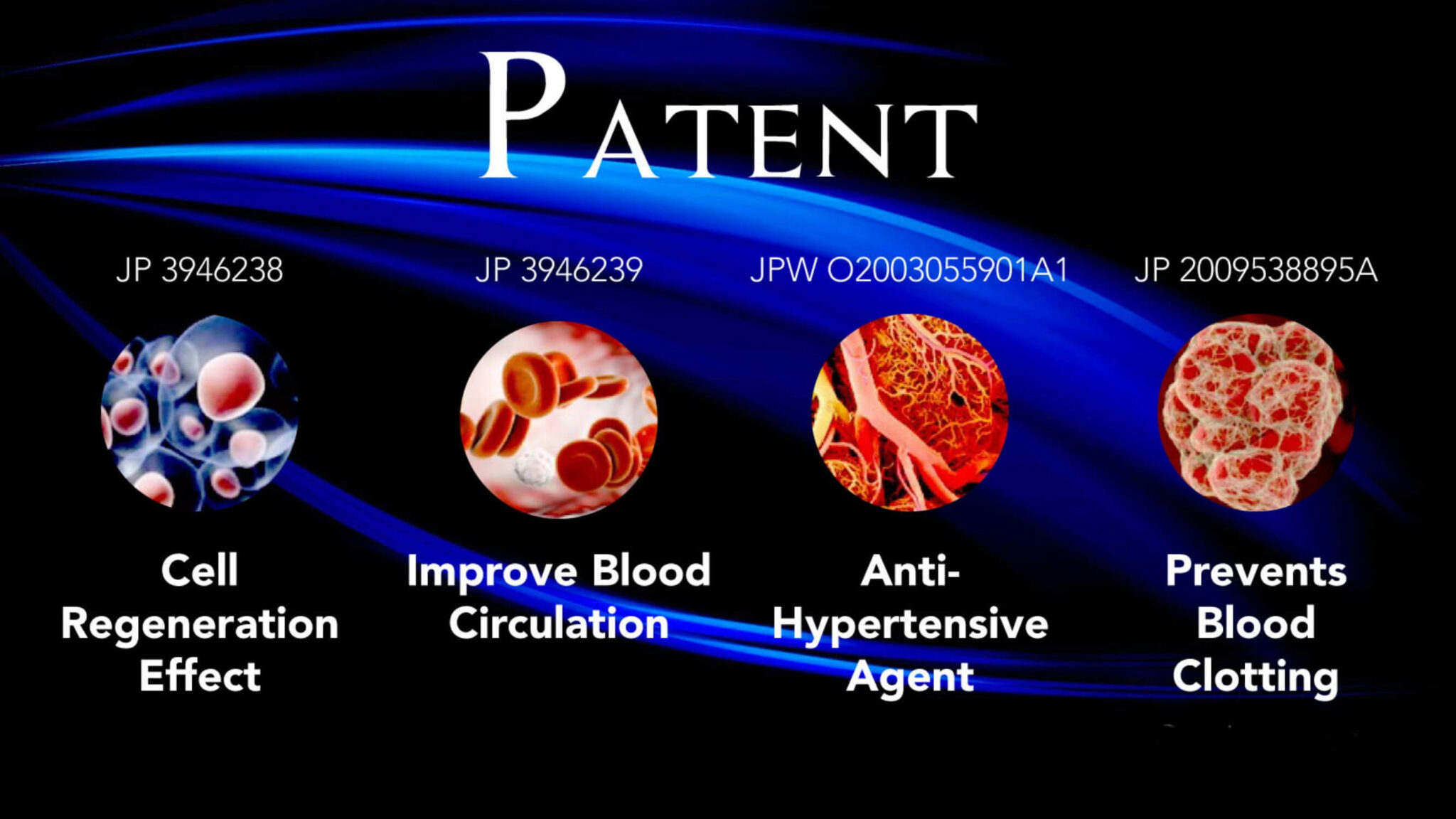 Solusi Penyakit Gagal Ginjal